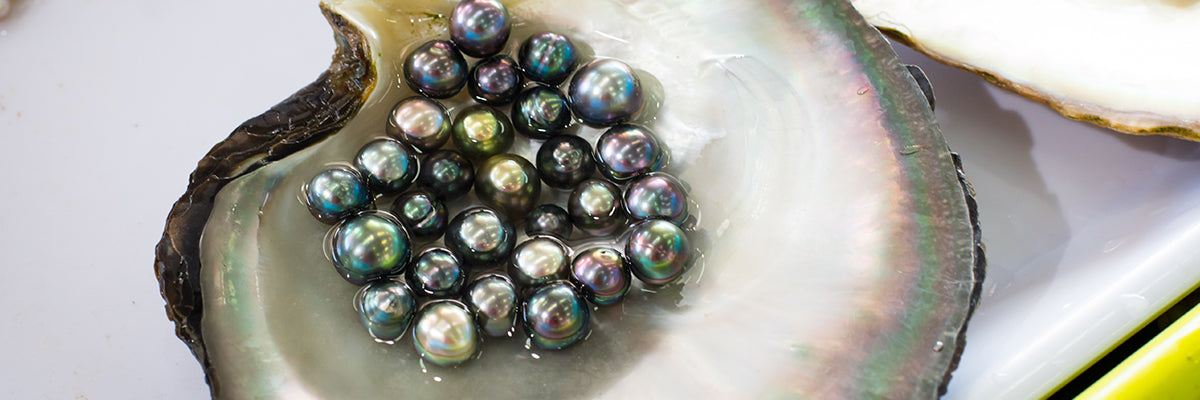 Black pearls store